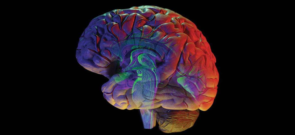 Renkler, Duyguları Tetikleyen Değişim Ajanlarıdır - KAYNAK DERGİSİ ...